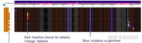 抗体序列分析神器 软件（药物研发） 知乎