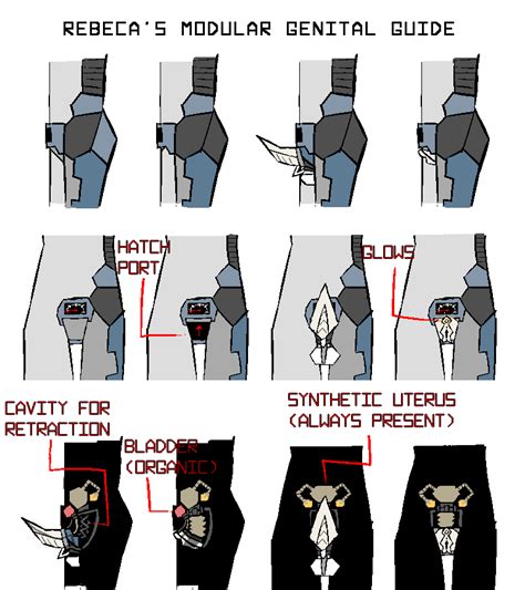 Rule 34 2022 Ambiguous Gender Anatomy Anthro Atomic Cat Balls Bladder Bodily Fluids Clitoris