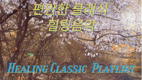Playlist🎵 잠들기 전 마음을 안정시키는 수면음악 모음 평온한 밤을 위해 🌌 Youtube Music