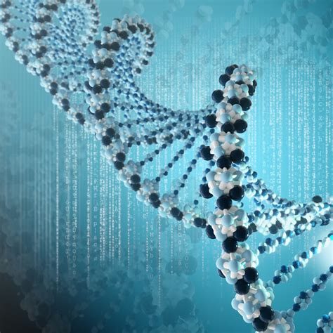 Functional Tests Elizma Lambert