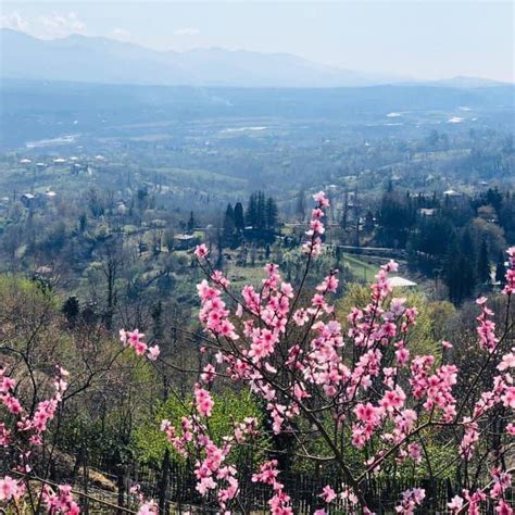 ჩოხატაური სოფელი ვანი