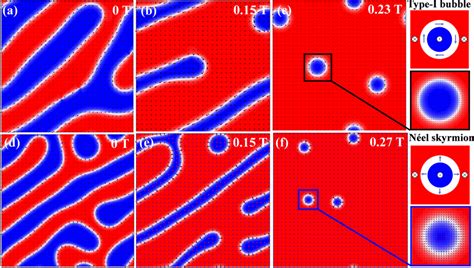 Micromagnetic Simulations For The Evolutions Of Bloch And Néel Type