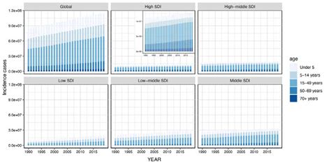The Urticaria Incidence Cases Of 5 Age Group In Global And 5sdi Level