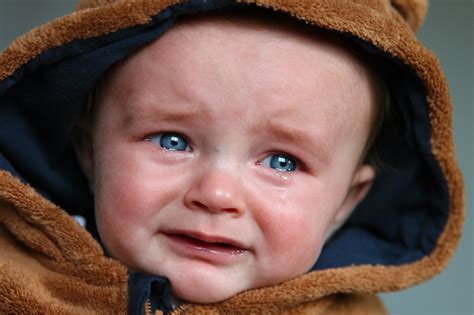 무료 사진 어린이 사람 인물 귀여운 아기 아이 어린 시절