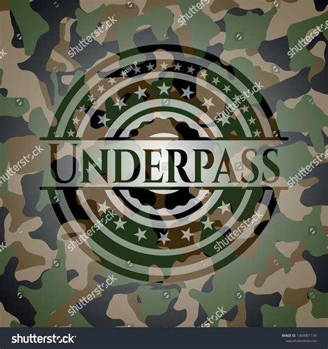 Underpass Camouflage Emblem Vector Illustration Detailed Stock Vector