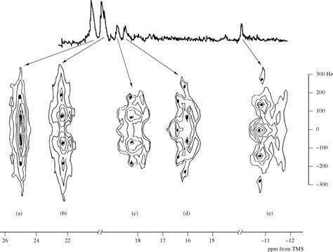 Heteronuclear Two Dimensional J Resolved 13c Mas Nmr Spectrum Of