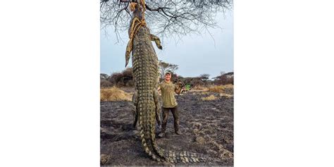 American Couple Claim Of World Record Crocodile Kill In Tanzania Sparks
