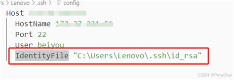 Vscode使用remote Ssh插件进行远程开发与ssh免密登录配置vscode Remote Ssh配置 Csdn博客