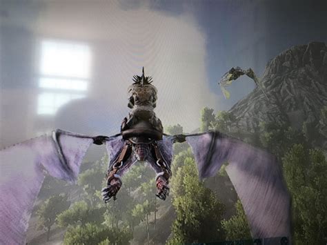 Tek Quetzal A Rare Find Sorry For The Poor Quality R Ark