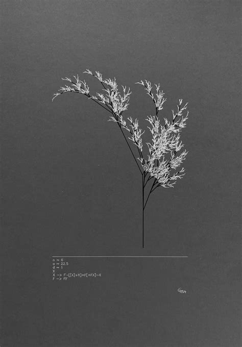 Algorithmic Botany Holmestorm Me Pen Plotter On Card 2024 Rart