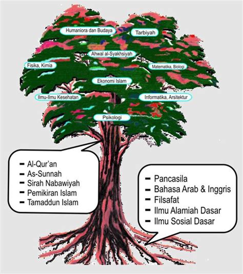 supian: pohon Ilmu IMAM PRAYOGA