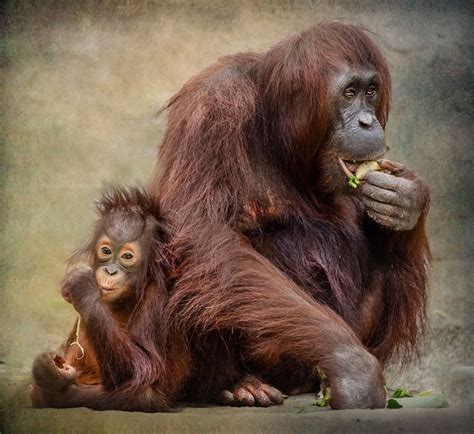 Somerset House Images Secure Attachment