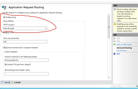 iis 配置api 反向代理和websocket反向代理 iis 反向代理 websocket csdn博客