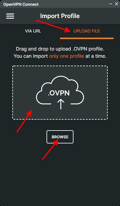 OpenVPN v 3 Connect Slovenská technická univerzita v Bratislave STU
