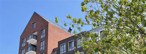 Nieuwbouw Residence T Gasthuis Fase 1 Gereed Een Mijlpaal In Het Hart