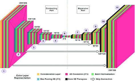 Modified U Net Architecture Used In This Study Download Scientific