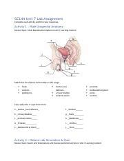 Unit 7 Lab Assignment Docx SC144 Unit 7 Lab Assignment Complete Each Activity And Fill In Your