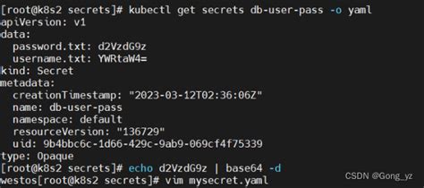 k8s kubernetes存储 secret配置管理 csdn博客