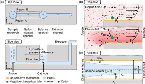 Tunable Sheathless Microfluidic Focusing Using Ion Concentration Polarization Applied Physics