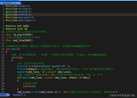 进程控制知识写一个简单shell Csdn博客