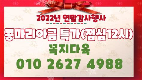 12월15일 점심 콩마리아금 특가콩마리아금꼭지다육꼭지가 추천하는 핫한 금다육 Youtube