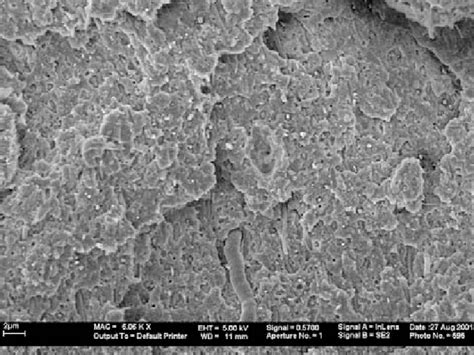 Scanning Electron Micrographs Of Fracture Surfaces Of Nanocomposites