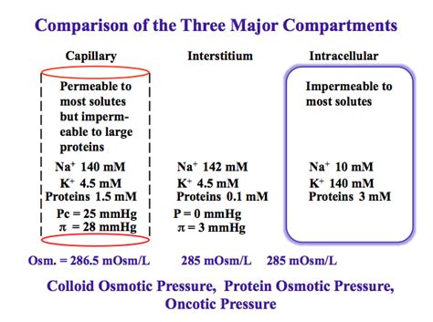 Predict The Final Serum Osmolarity And The Total Body Chegg Com