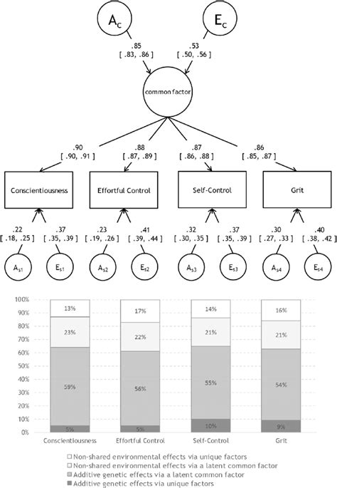 Ae Common Pathway Model For Conscientiousness Related Measures With