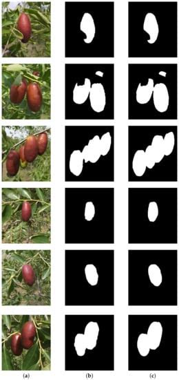 A Marker Controlled Watershed Algorithm For The Intelligent Picking Of Long Jujubes In Trees