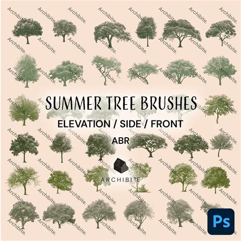 Photoshop Brushes Summer Trees Elevation
