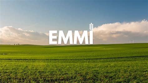 Flutter Firebase Firestore Flask Mobileinnovation