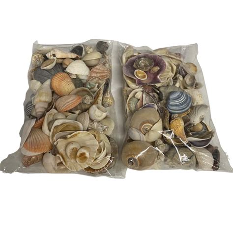 950g Assorted Shells