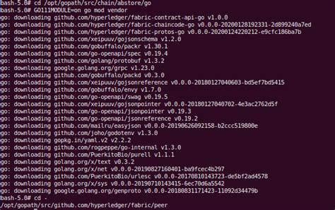 create a custom network and deploy your own chaincode with hyperledger