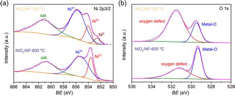Xps Spectra Of Niox Nf 100 °c And −600 °c A Ni 2p3 2 B O 1 S