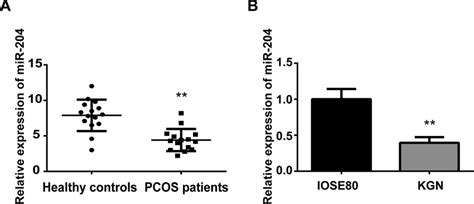 Mir 204 Expression Levels Were Down Regulated In Ovarian Cortex Tissues