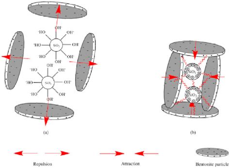 Repulsion And Attraction Between Bentonite Particles And A Unmodified Download Scientific