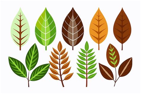 Premium Vector A Collection Of Different Colored Leaves And Branches