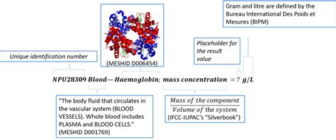 NPU Definition Structure And Presentation Dynamic NPU Manual