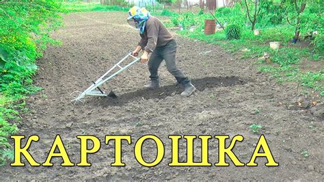 Как посадить КАРТОШКУ. Плужок для посадки картошки. - YouTube