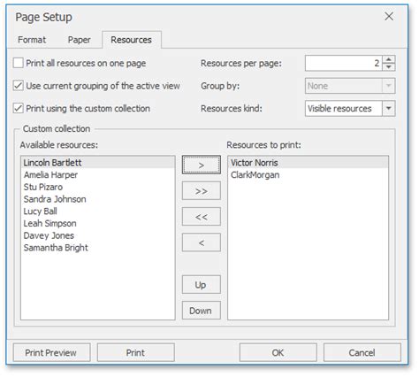 Page Setup Dialog Winforms Controls Devexpress Documentation