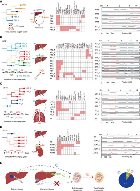 Integrated Multi Omics Profiling To Dissect The Spatiotemporal Evolution Of Metastatic