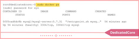 How To Update Docker Image And Container Guidelines