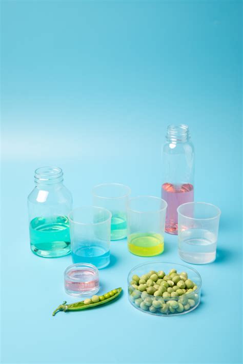 实验素材 实验模板 实验图片免费下载 设图网