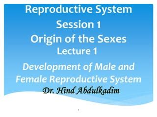 Reproductive System Development PPT