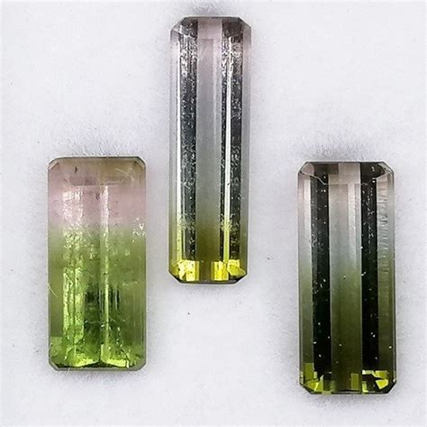3 Pcs Bicolor Tourmaline 310 Ct Catawiki