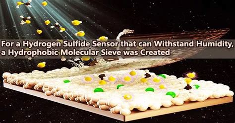 For A Hydrogen Sulfide Sensor That Can Withstand Humidity A For A Hydrogen Sulfide Sensor That Can Withstand Humidity A