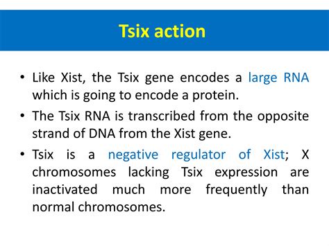 X Chromosome Inactivation Pptx