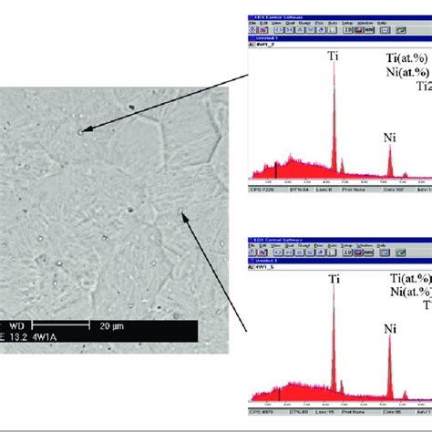 Microstructures Of Samples Annealed At Various Temperatures A 300 C Download Scientific