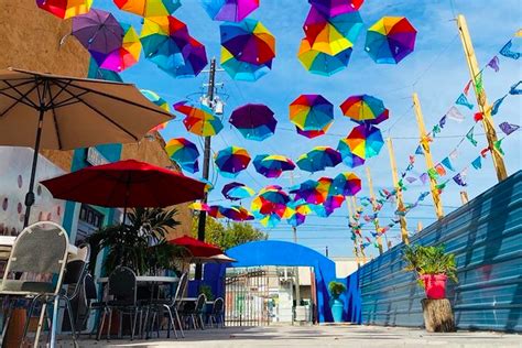 Phenomenal Things To Do This Summer In Houston