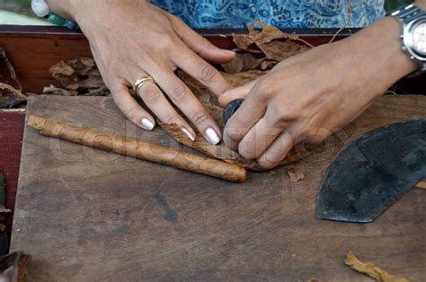Cigars making | Stock Bild | Colourbox